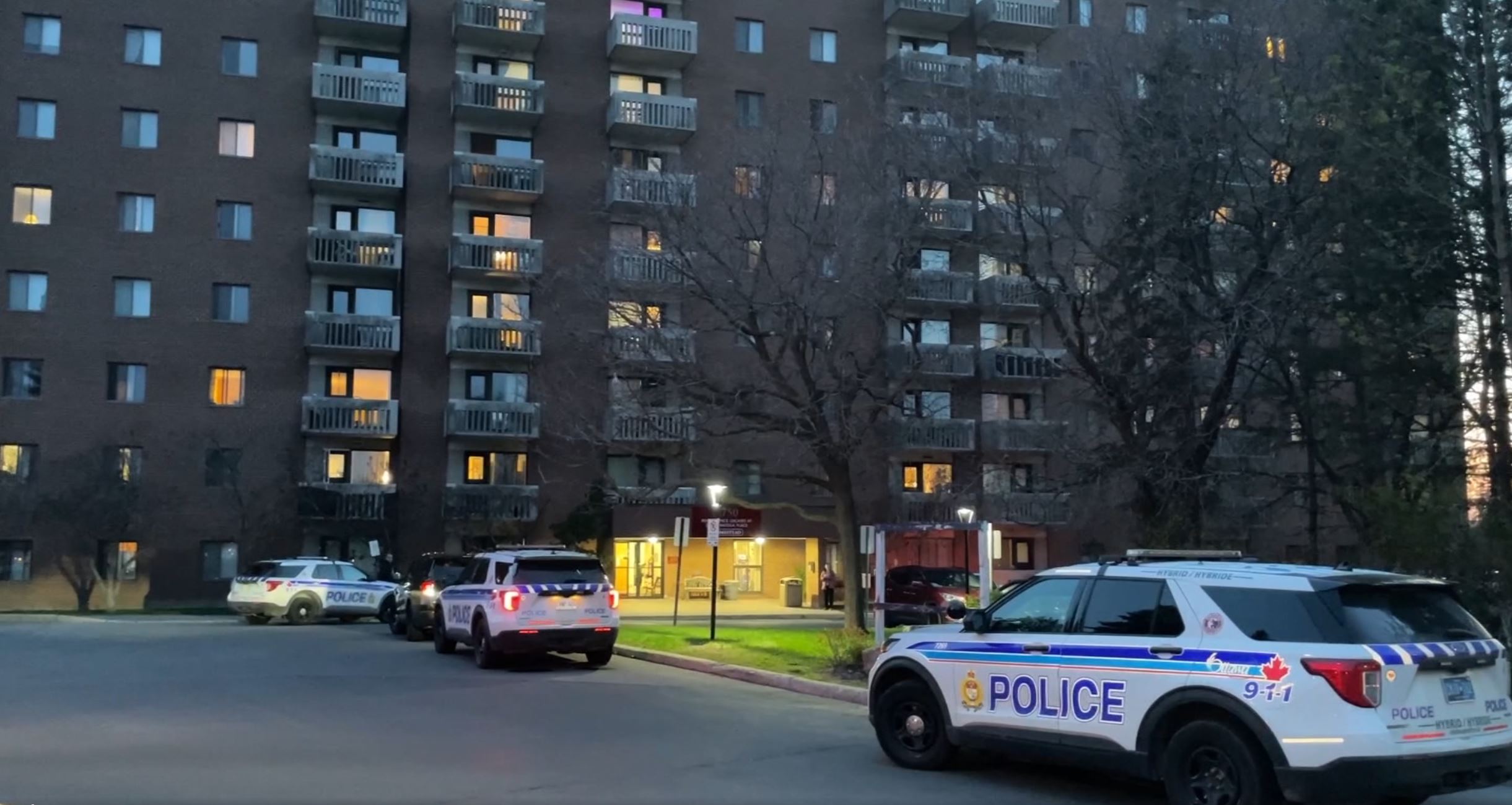 Un Homme De 74 Ans Poignardé à Mort à Ottawa Un Suspect Arrêté Tva