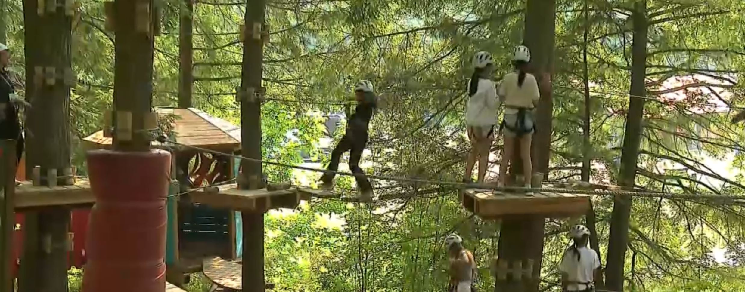 Le parc Arbraska Laflèche, un incontournable de l'été ! - TVA Gatineau