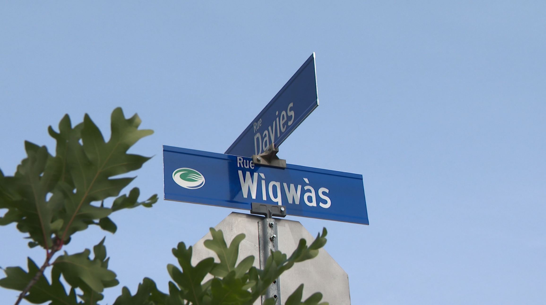 Ville de Gatineau: la rue Wìgwàs officiellement inaugurée - TVA Gatineau